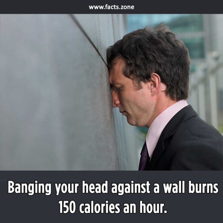 Banging your head against a wall burns... • Facts Zone
