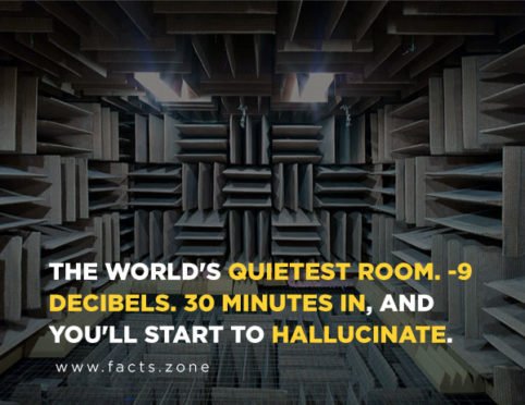 The World's Quietest Room. -9 decibels.... • Facts Zone