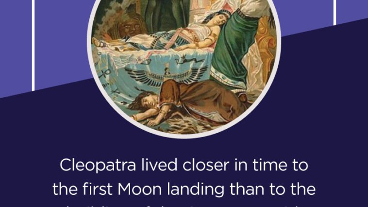 The Moon gets hit by over... • Facts Zone